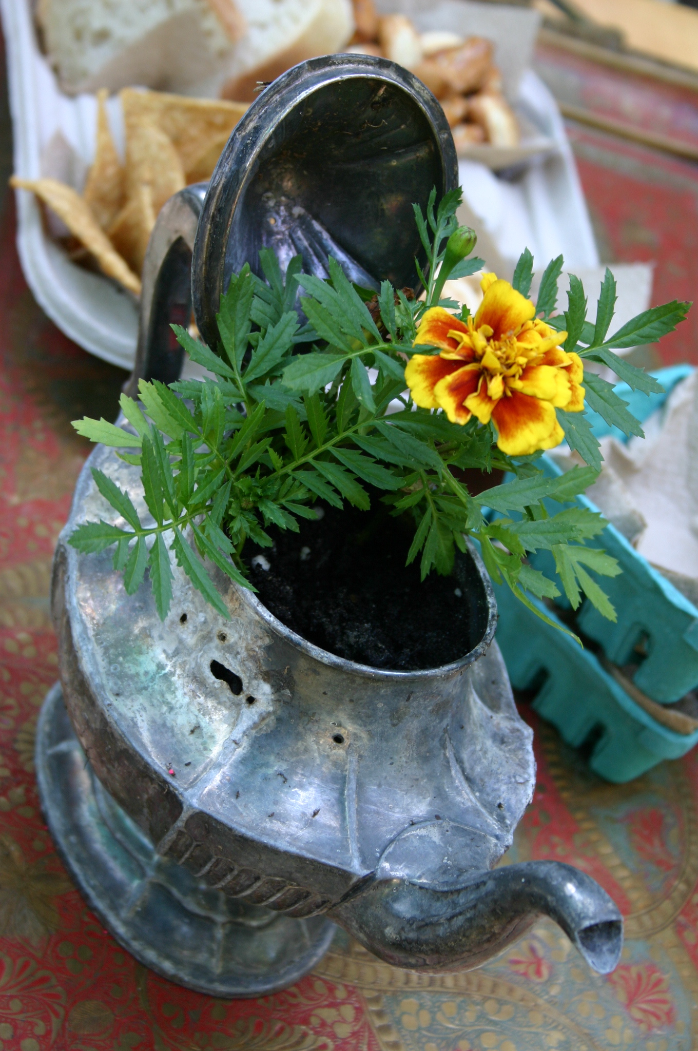 Recycled Serving Set | Family Chic