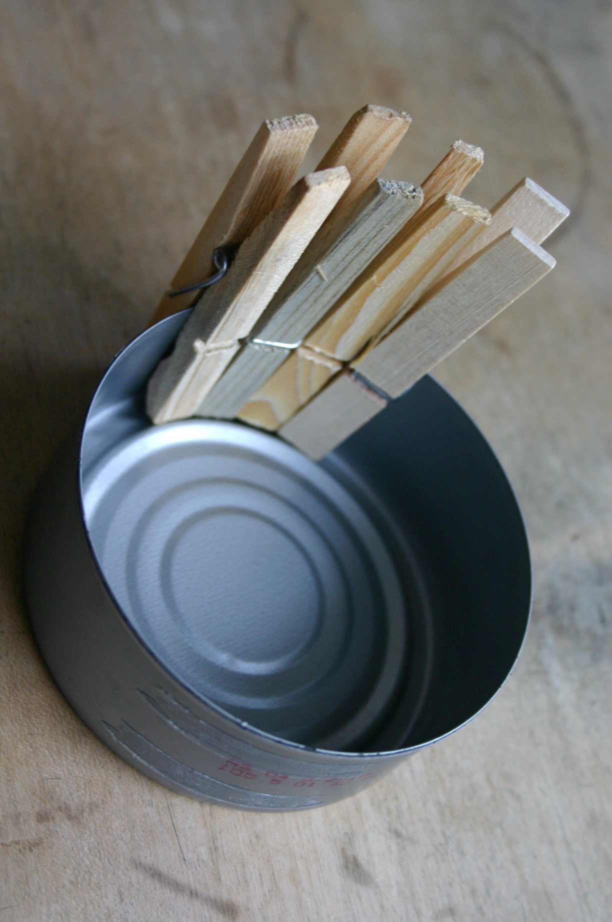 Clothespin Planter | Family Chic