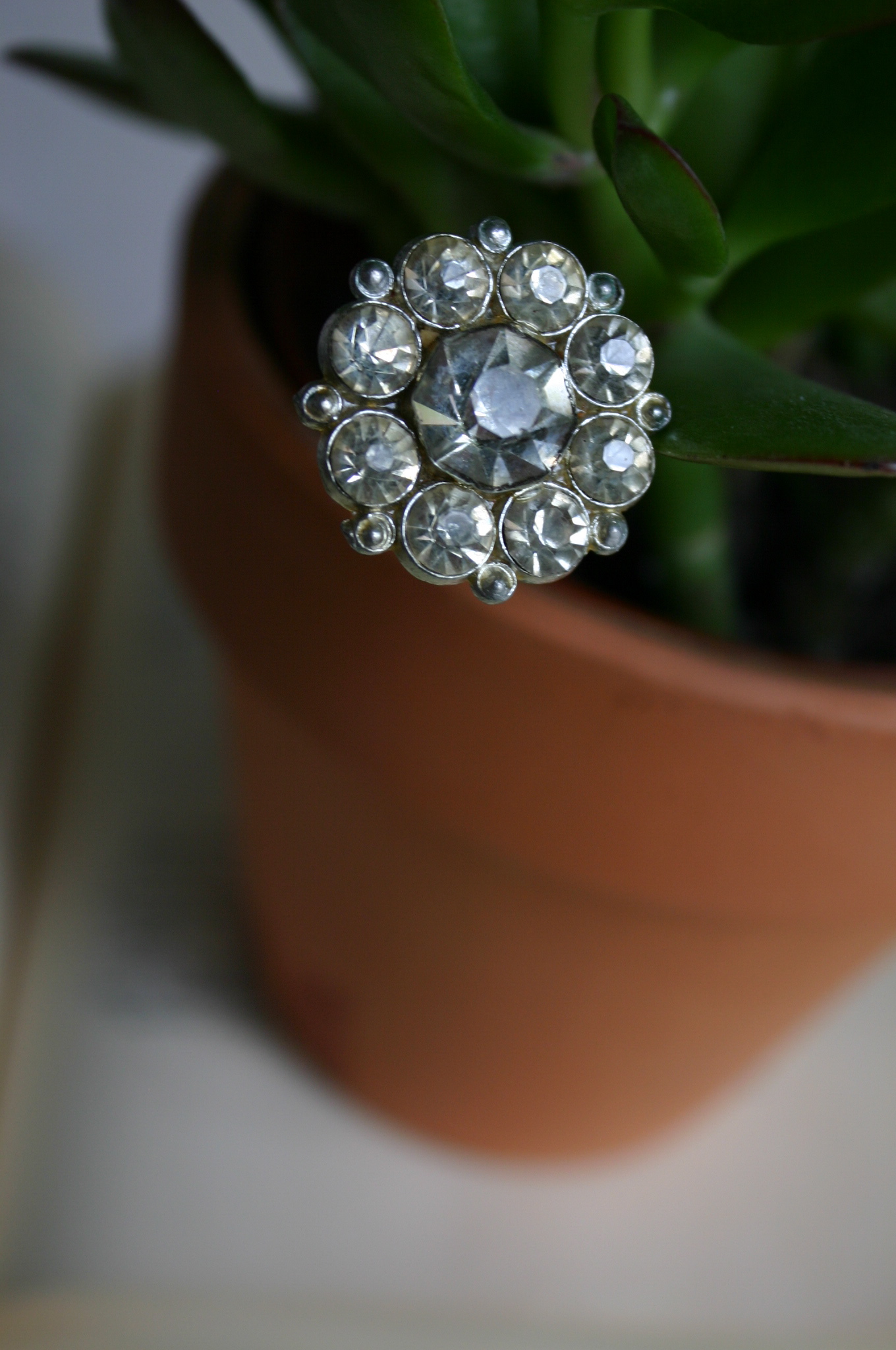 Plant Jewelry | Family Chic
