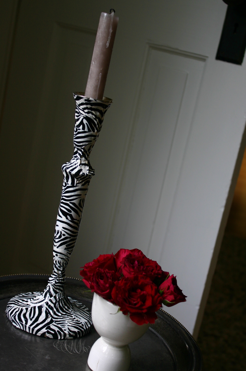 DIY Zebra Print Project | Family Chic