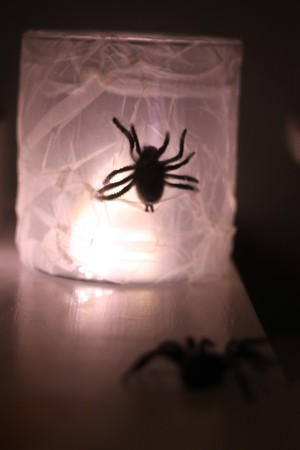 Spider Lights | Family Chic